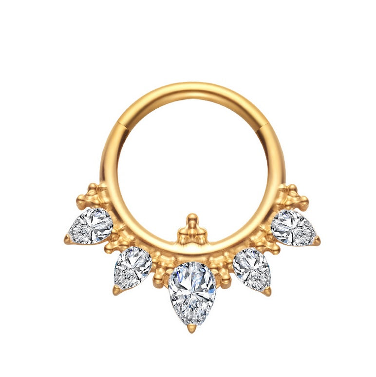 Titanium Gold Jewelled Hinged Septum/Daith Ring - TI-217A – Trendez ...